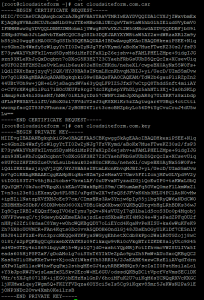 Cómo instalar un certificado SSL en CentOS 7 vía SSH